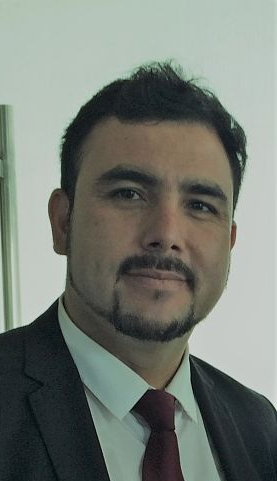 Los vigilantes de la casa: Comentario a la Sentencia Rol 17-2019 del ...