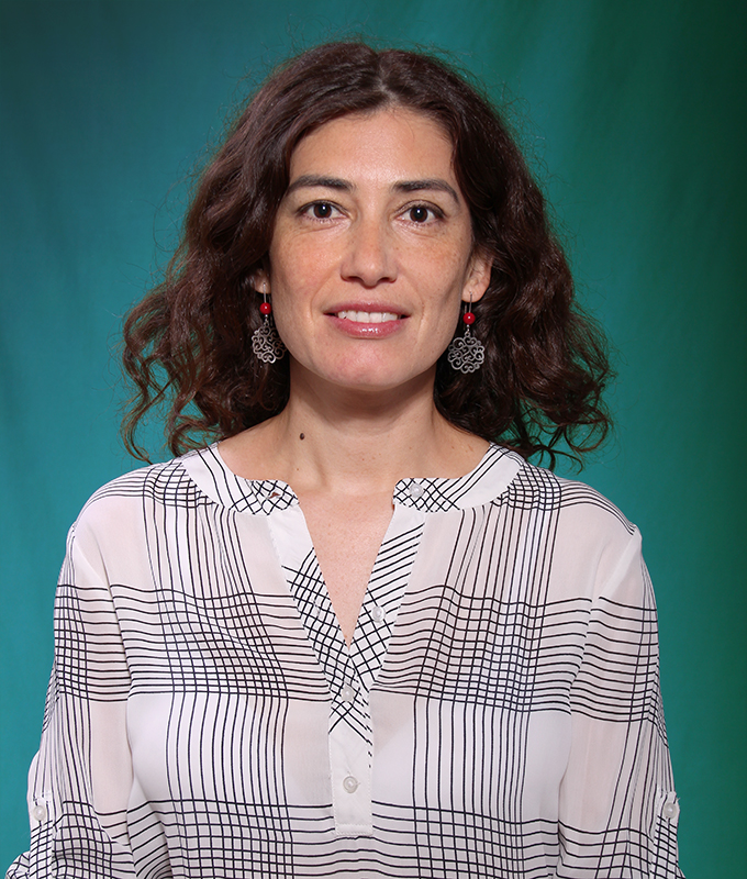 Refutando la tesis Velasco Letelier sobre cosas embargadas y especies ...